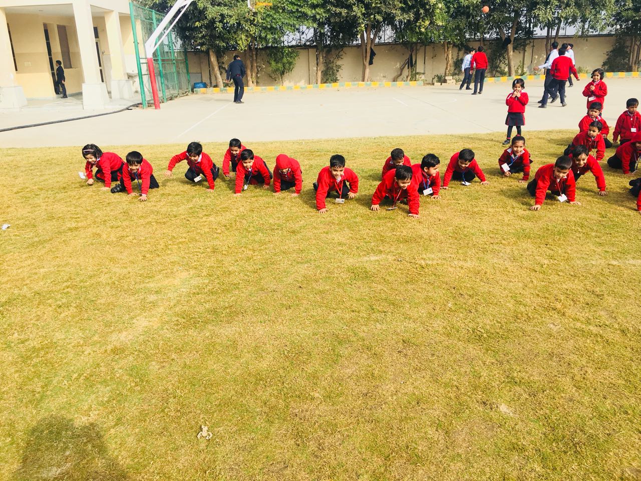 Royal Oak International